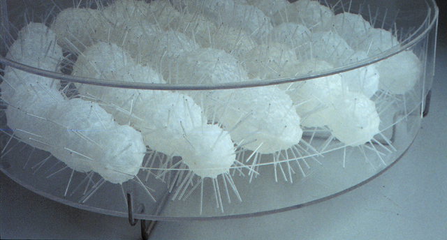 Untitled Document [www.janineschimkat.nl]